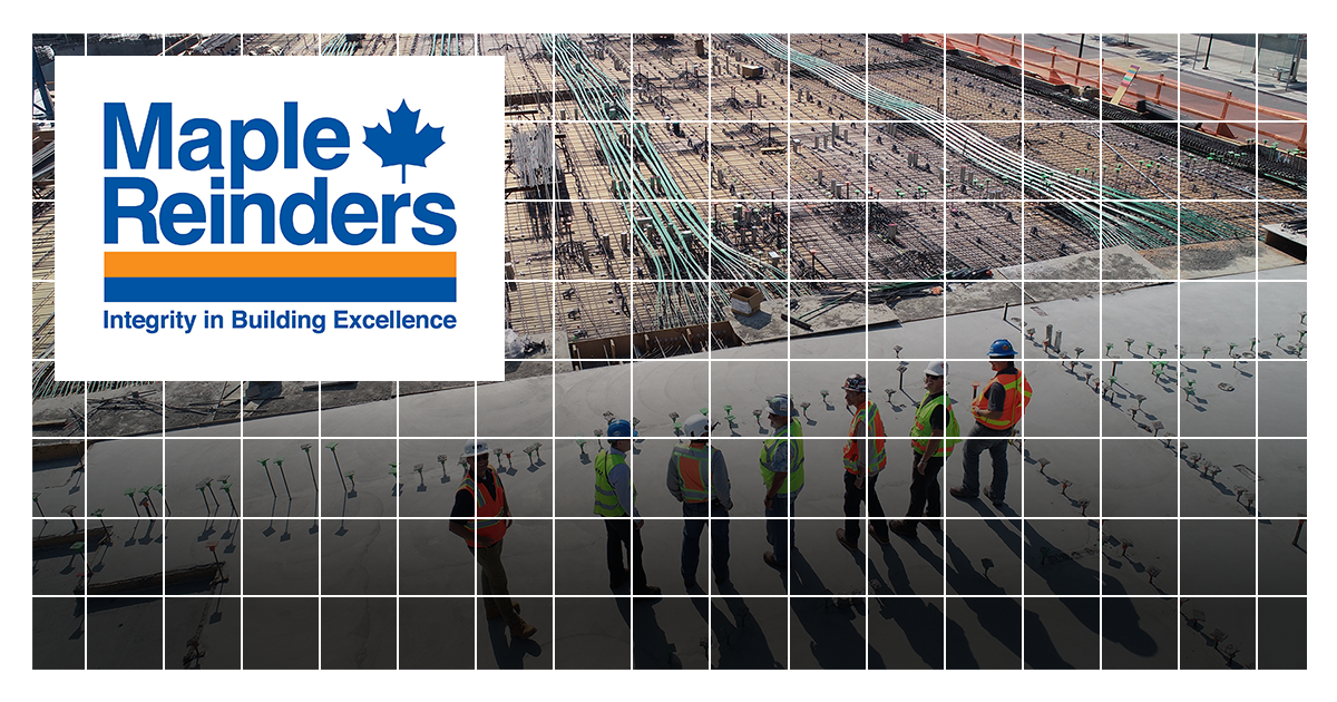 CodeTwo Backup for Office 365: Fallstudie Maple Reinders